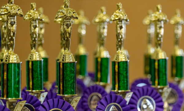 Start Your Program - AAA School Safety Patrol